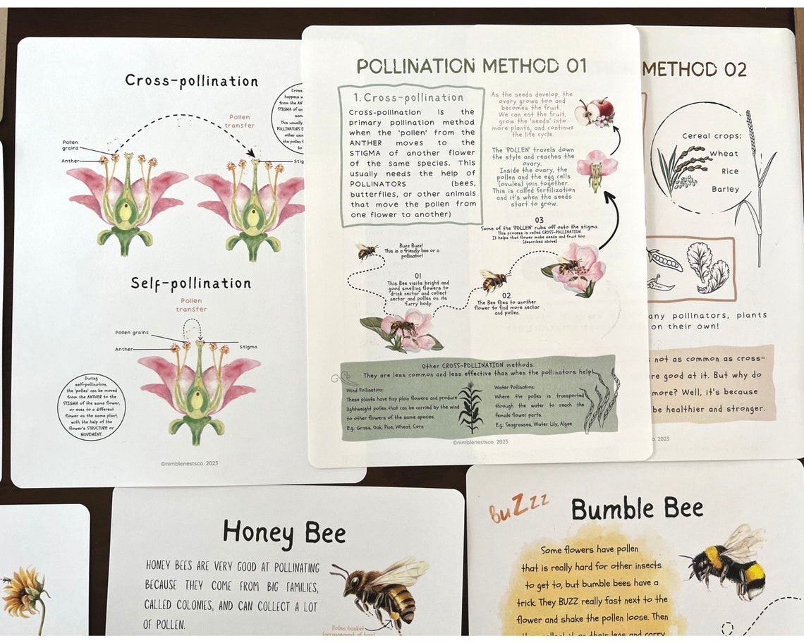 Pollination Homeschool Unit: Bees, Butterflies & Wildflowers (PDF) - Etsy