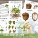 Oak & Acorn Anatomy, Life Cycle Mini Unit Study (PDF) - Etsy