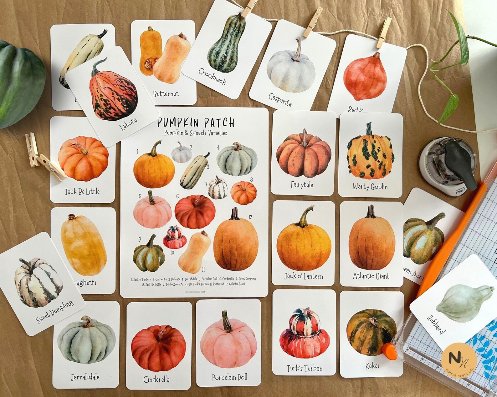 Pumpkin Cards, Squash Varieties, Fall Study Unit, Pumpkin Flash Cards ...
