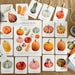 Pumpkin Cards, Squash Varieties, Fall Study Unit, Pumpkin Flash Cards ...