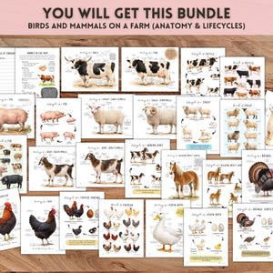 Farm Animals Unit Study PDF: Printable Farm Animal Life Cycles, Anatomy ...