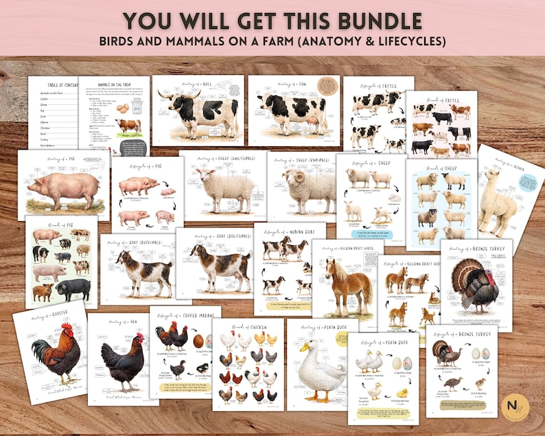 Farm Animals Unit Study PDF: Printable Farm Animal Life Cycles, Anatomy ...