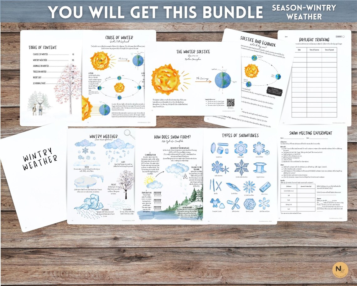 Winter Unit Study Animals in Winter Trees in Winter Birds in Winter ...