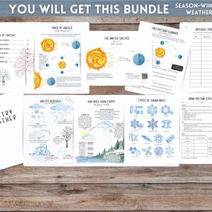 Winter Unit Study: Animals in Winter, Hibernation, Migration, Trees in ...