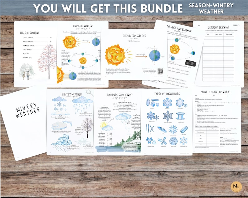 Winter Unit Study: Animals in Winter, Hibernation, Migration, Trees in ...