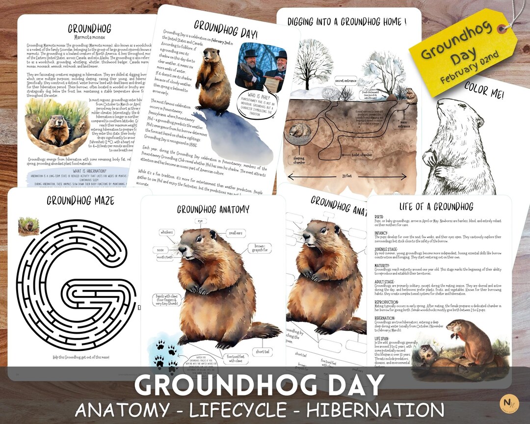 Groundhog Day Study,hibernation Unit Study,winter Animals Journal ...