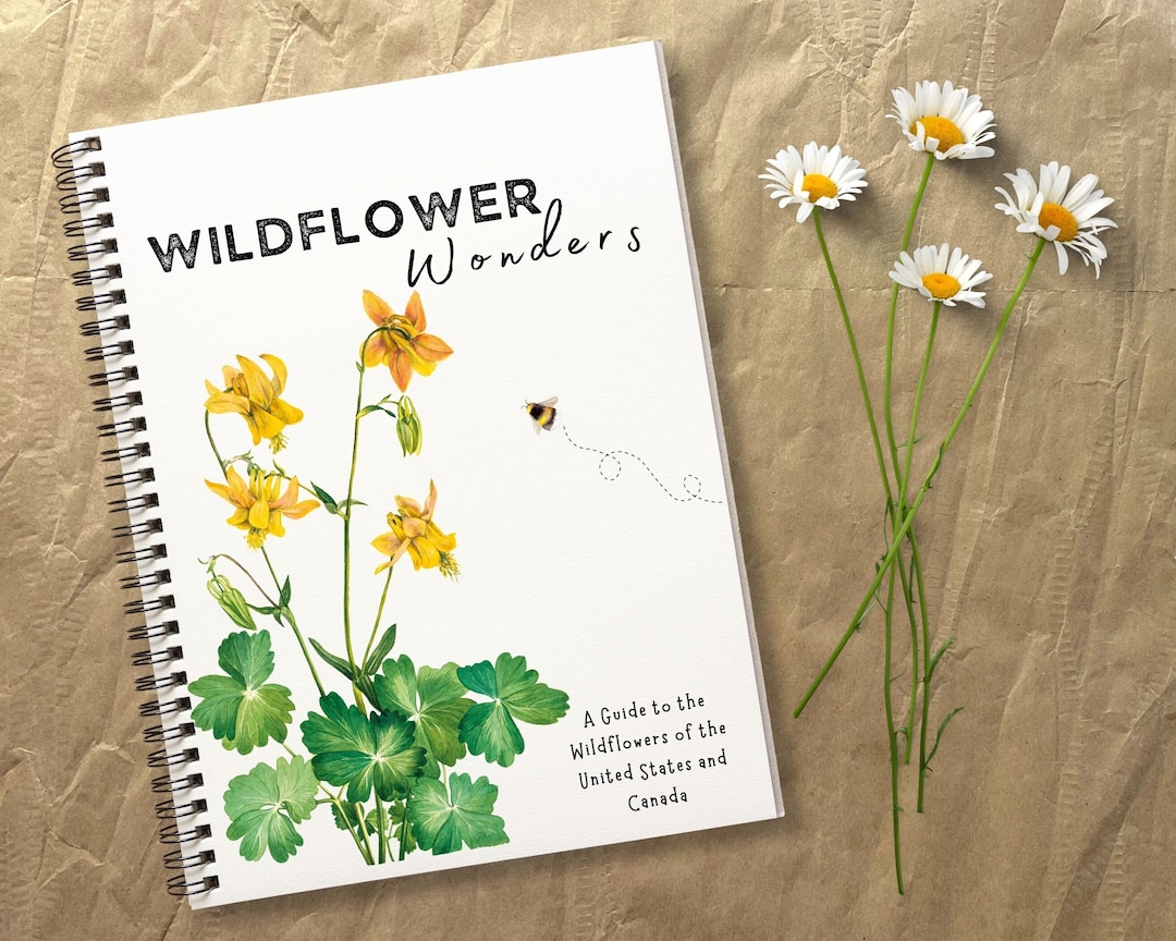 Wildflowers of USA and Canada Unit Study: Homeschooling Activity Bundle ...