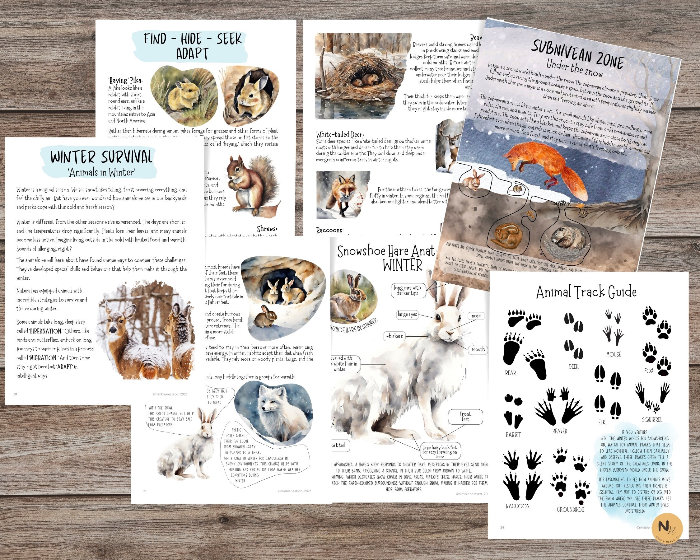 Animals in Winter,hibernation Study,winter Homeschool,birds of Winter ...