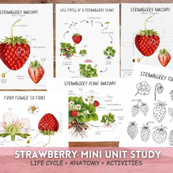 Learning Unit - Etsy