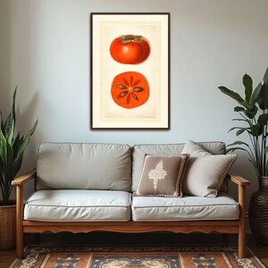 Large Framed Canvas Print of A Painting of Two Persimmons | Botanical ...