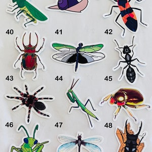 1 - 50 Pcs Bugs Insects Stickers, Party Favor, Piñata Stuffer, Stocking ...