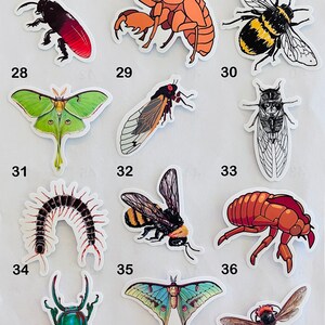 1 - 50 Pcs Bugs Insects Stickers, Party Favor, Piñata Stuffer, Stocking ...