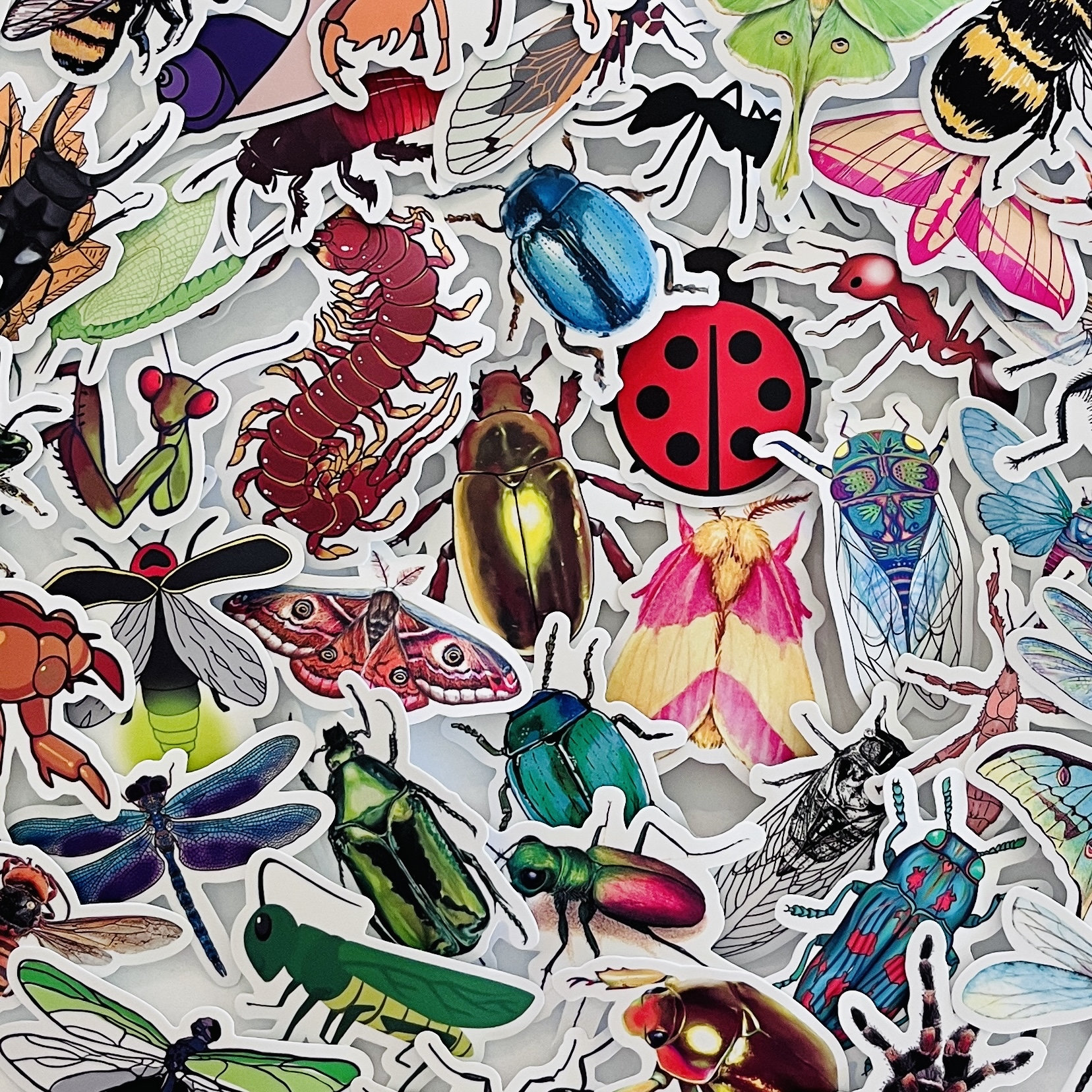 1 50 Pcs Bugs Insects Stickers Party Favor Piñata Stuffer - Etsy