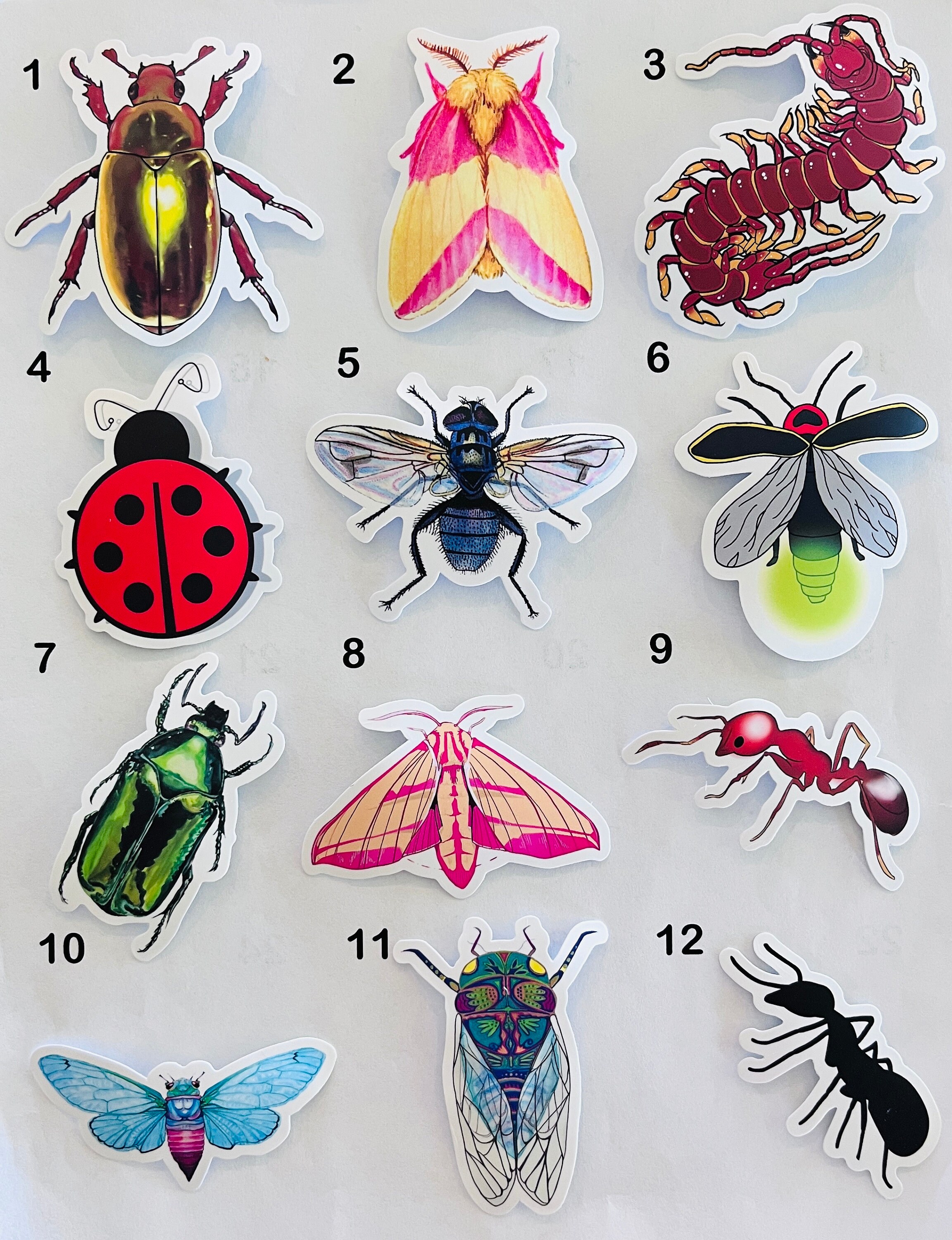 1 50 Pcs Bugs Insects Stickers Party Favor Piñata Stuffer - Etsy