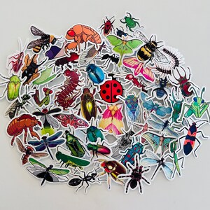 1 - 50 Pcs Bugs Insects Stickers, Party Favor, Piñata Stuffer, Stocking ...