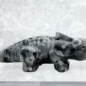 Axolotl Crystal Carving - Etsy