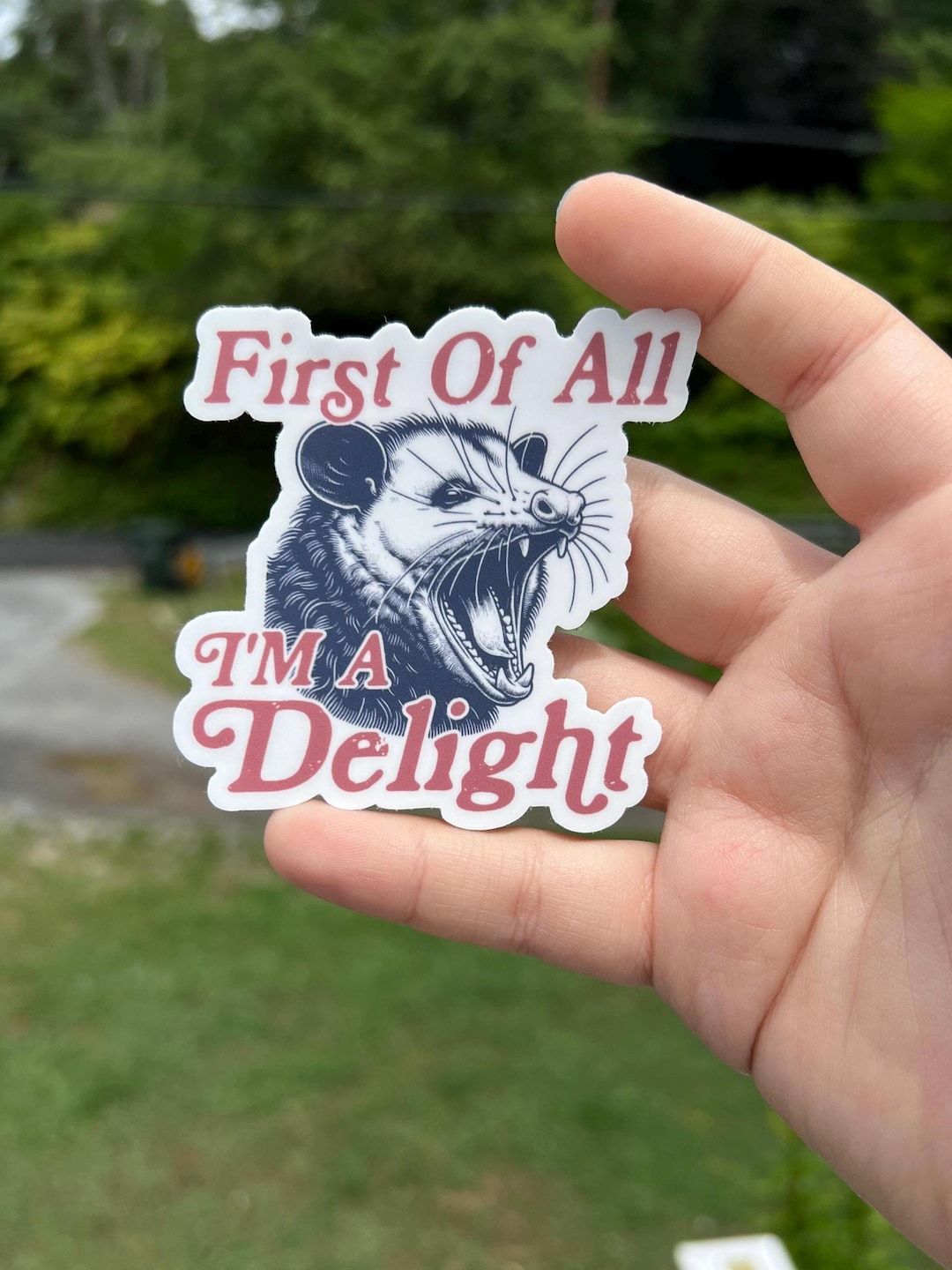 First of All I’m a Delight Possum Sticker | Funny Sticker, Water Bottle ...