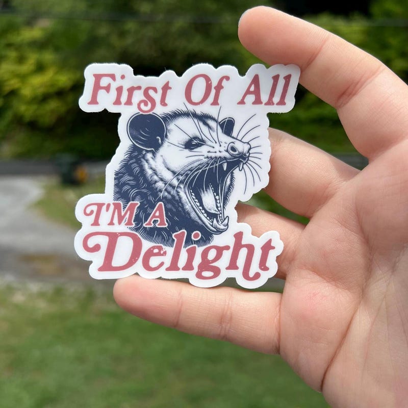 Stickers Pack Possum - Etsy