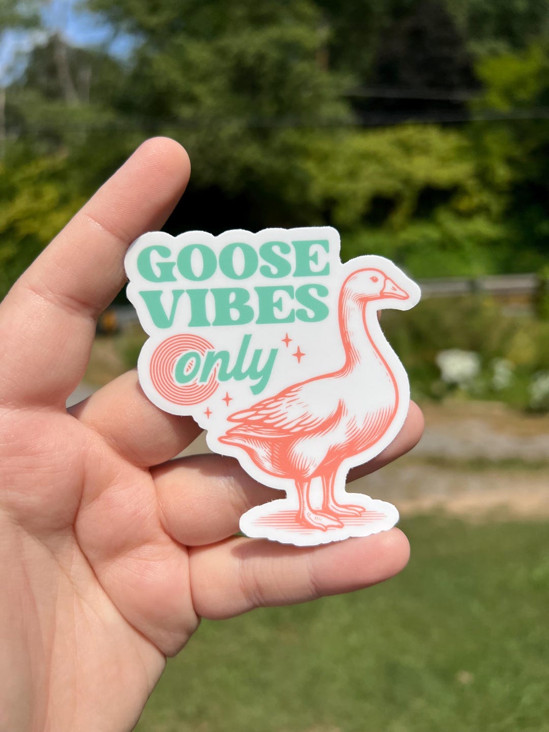 Goose Vibes Only Sticker, Funny Sticker, Mental Health Sticker, Funny ...