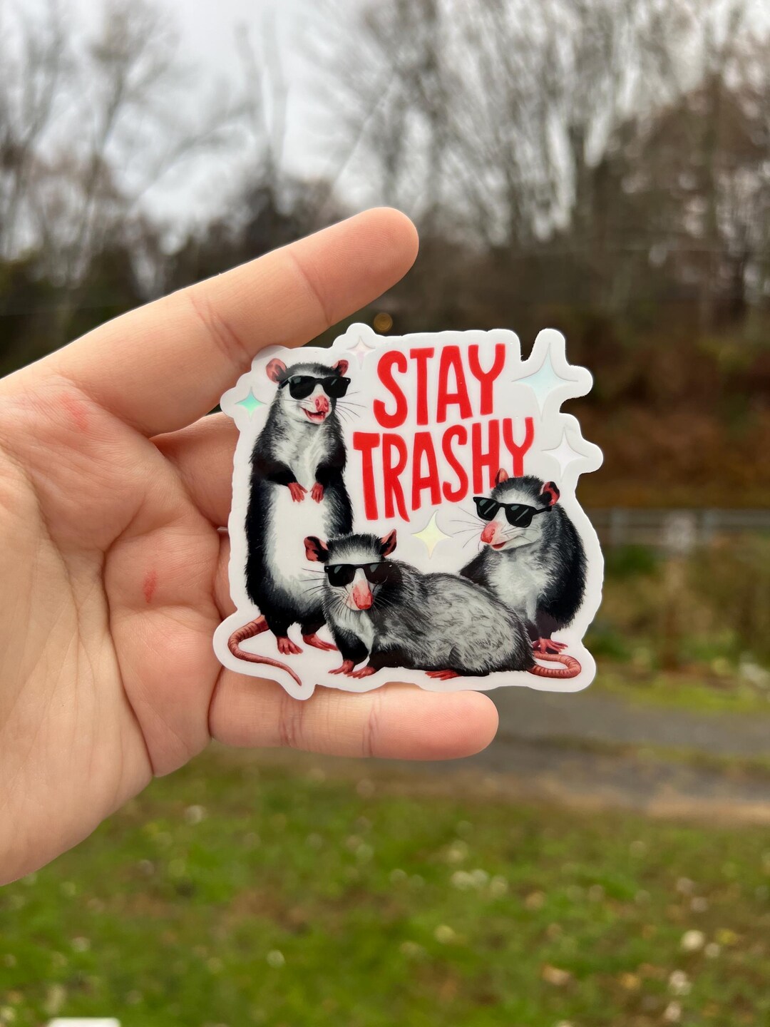 Stay Trashy Possum Sticker, Funny Sticker, Water Bottle Sticker, Mental ...
