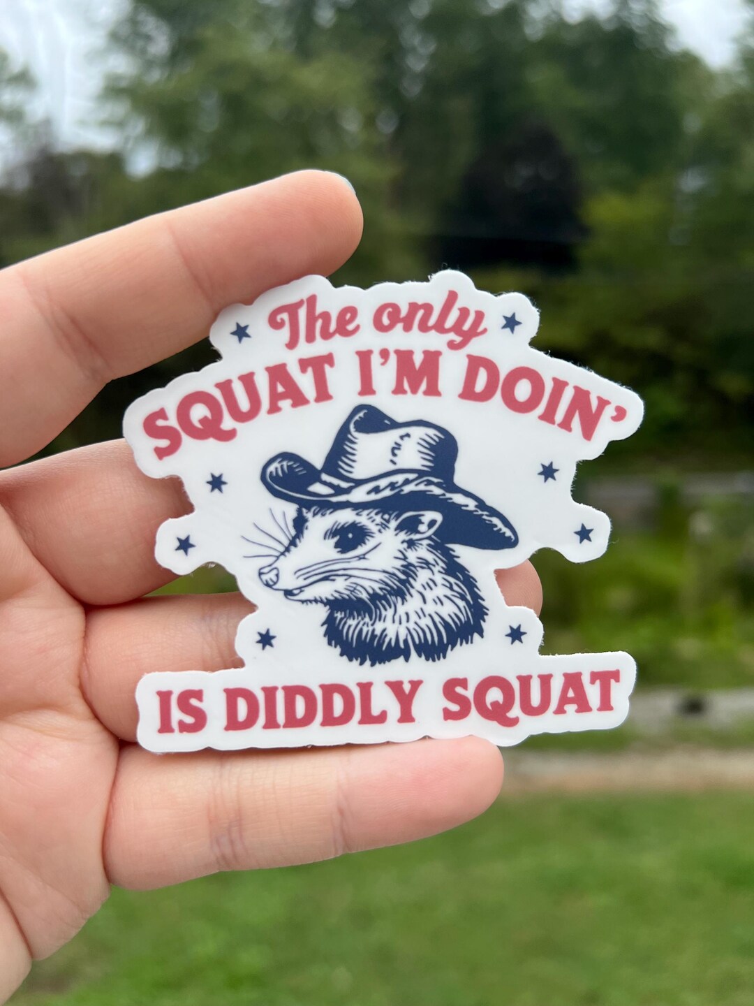 The Only Squat I’m Doing is Diddly Squat Funny Possum Sticker, Water ...