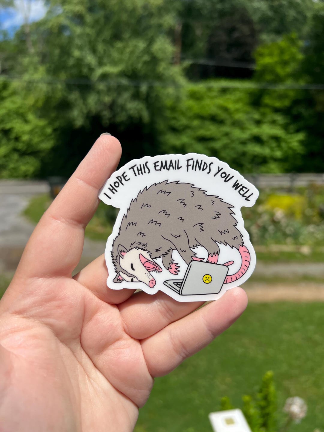 I Hope This Email Finds You Well Possum Sticker, Funny Sticker, Water ...