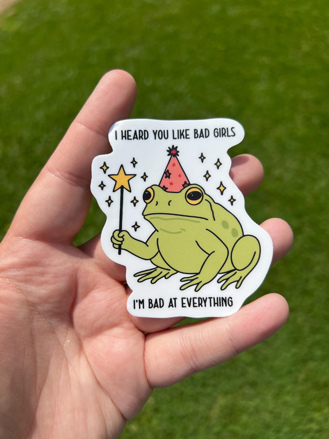 I Heard You Like Bad Girls Frog Sticker, Funny Sticker, Water Bottle ...