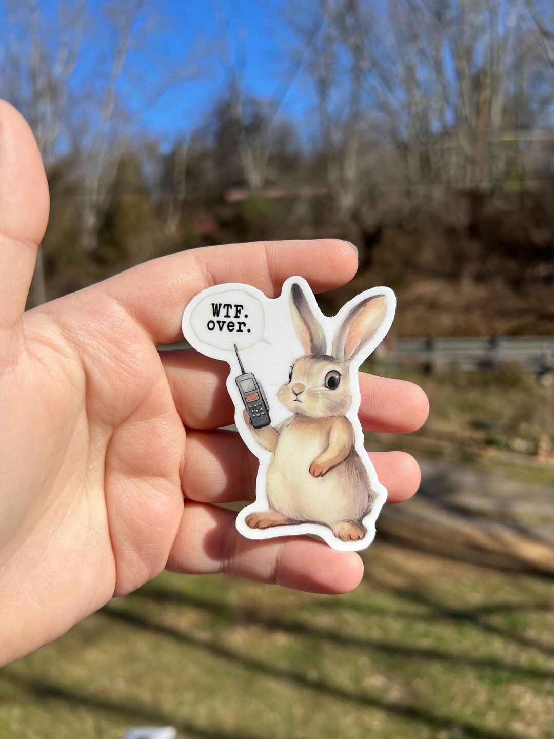 Funny WTF Over Rabbit Sticker, Funny Sticker, Water Bottle Sticker ...