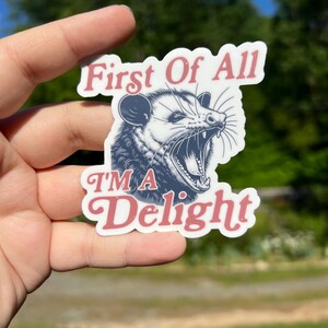 First of All I’m a Delight Possum Sticker | Funny Sticker, Water Bottle ...