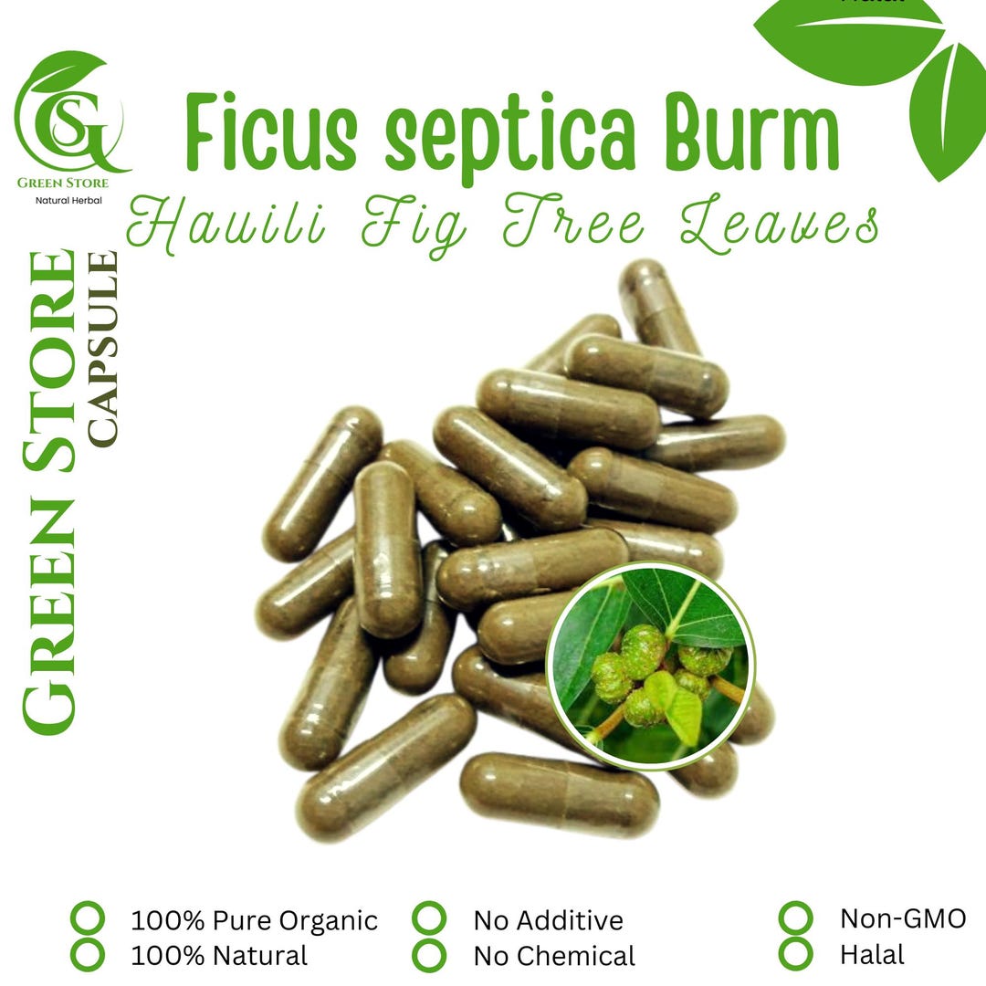 100-500 CAPSULES Hauili Fig Tree Leaves Ficus Septica Burm @600mg Fresh ...