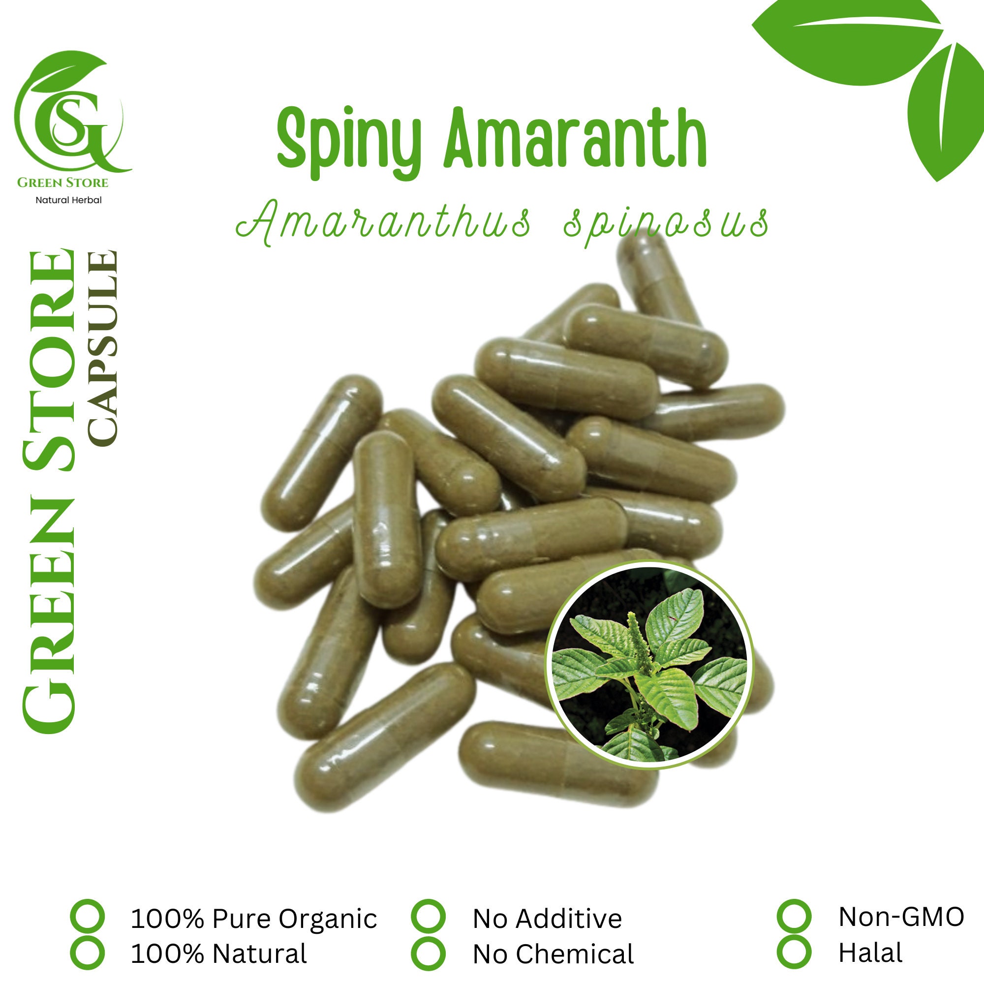 100-500 CAPSULES Amaranthus Spinosus Bayam Duri @600mg Fresh Natural ...