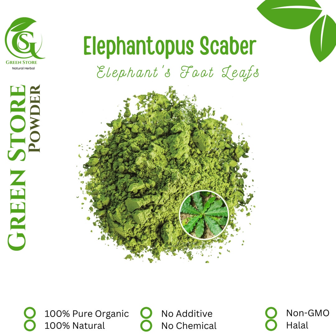 50 G - 500 G Organic Pure Powder of Prickly Leaved Elephant's Foot ...