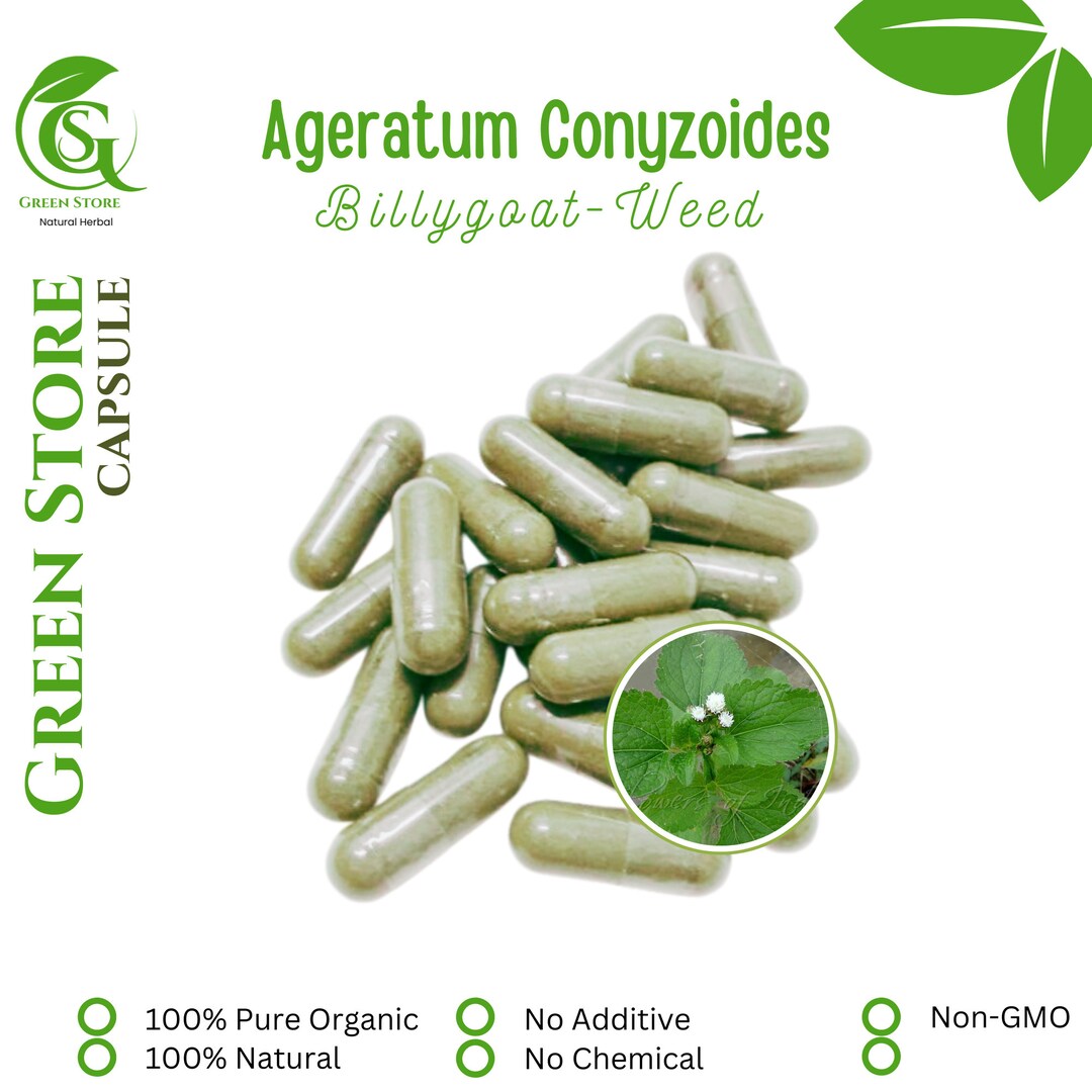 100-500 CAPSULES Ageratum Conyzoides Billygoat-weed White Weed @600mg ...