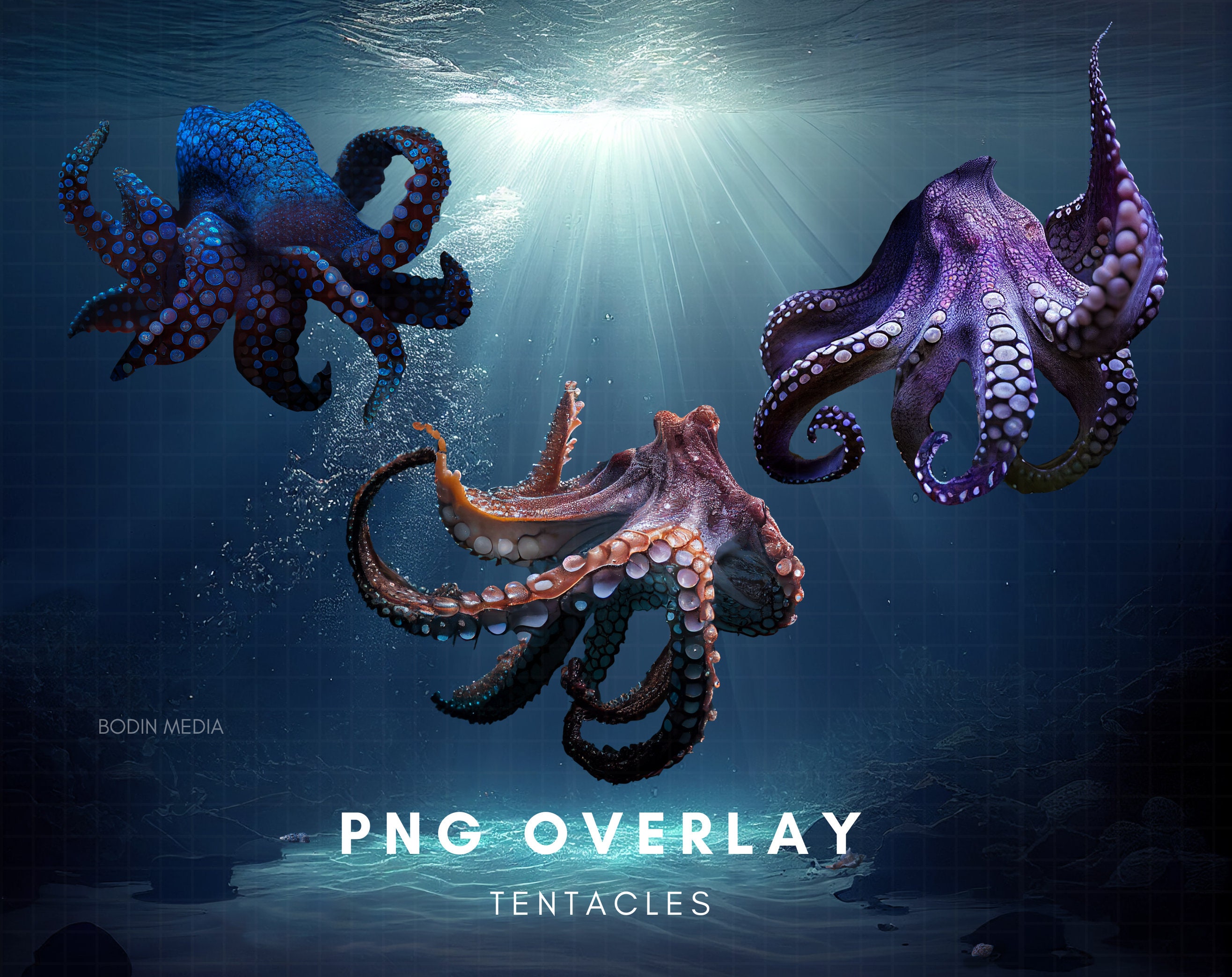 Tentacle Like Octopus PNG Overlays - Etsy