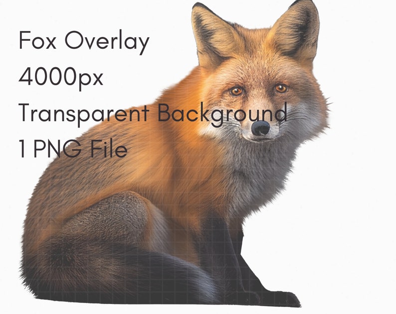 Fox Overlay Instant Download Transparent PNG Compatible - Etsy