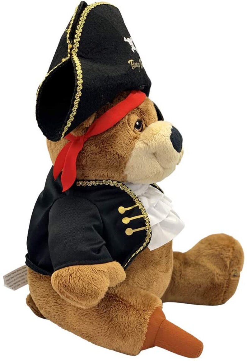 Boozy Bear Nubby the Pirate Your Buzzed Teddy Bear Buddy With a Hidden ...