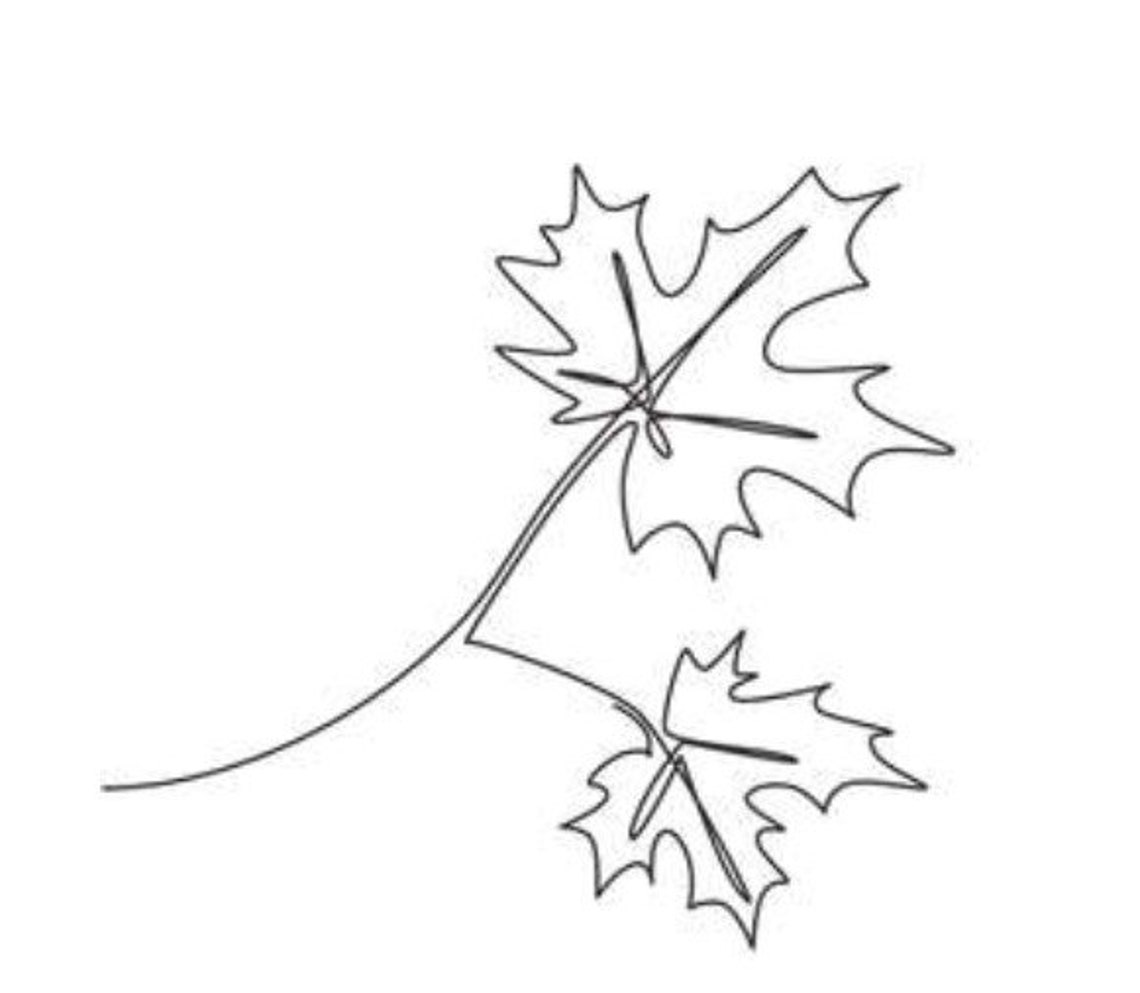 Single Continuous Line Drawing Spring Maple Leaf. Botany Style Concept ...