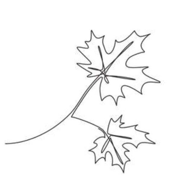 Maple Leaf Line Art - Etsy