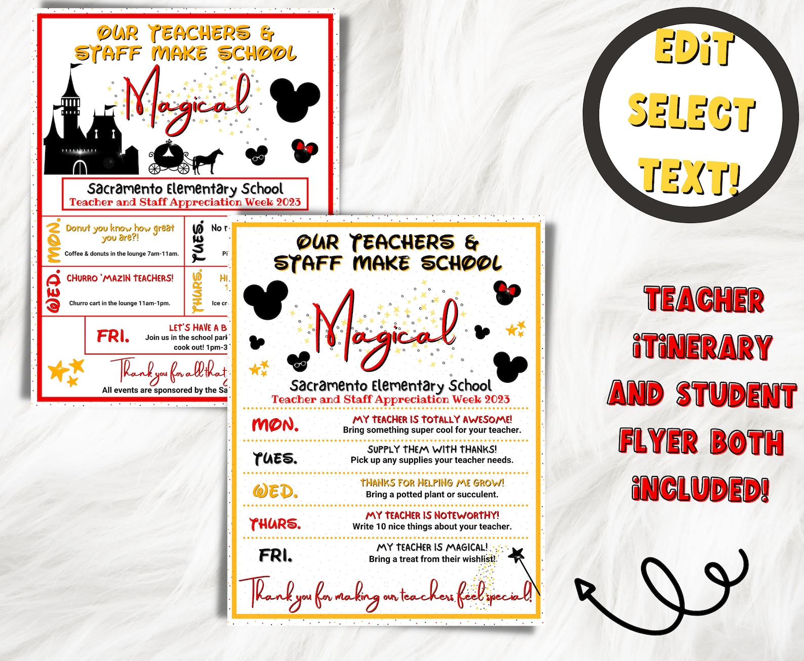 Magical Teacher Appreciation Editable Itinerary and Student Schedule ...