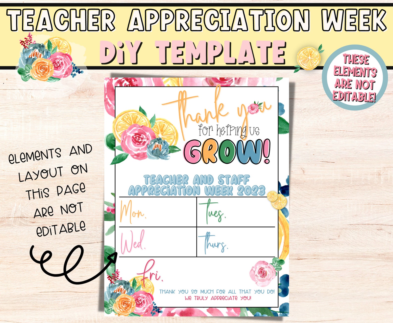 Teacher Appreciation Editable Itinerary Schedule Printable DIY Grow ...