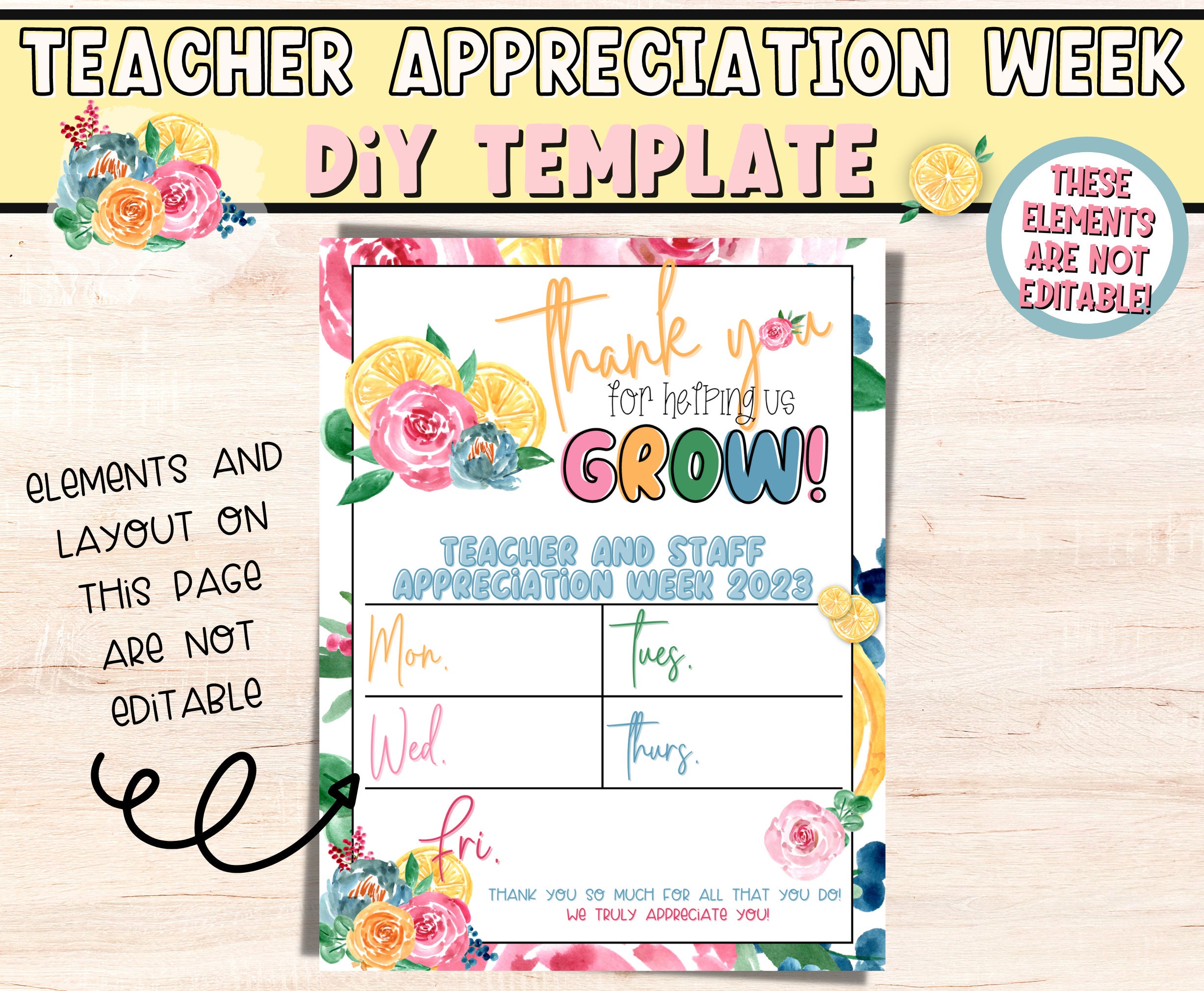 Teacher Appreciation Editable Itinerary Schedule Printable DIY Grow ...