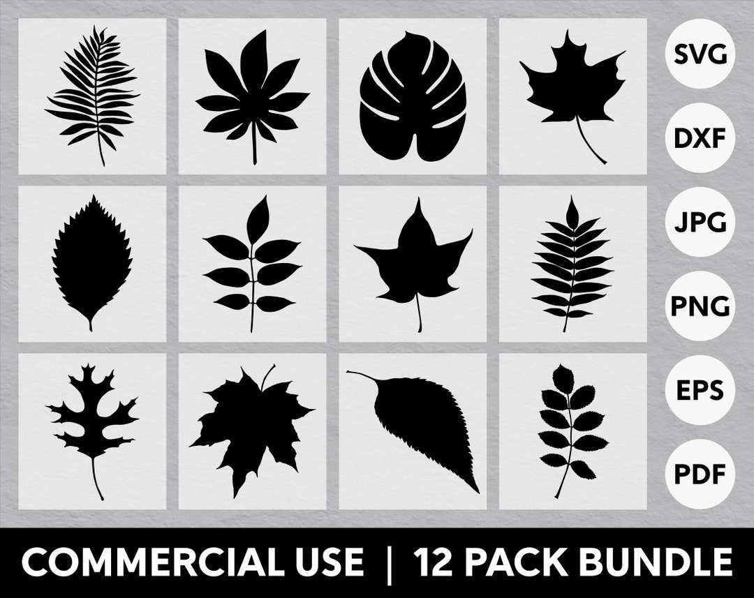 Leaf SVG Bundle Leaves Cut File for Cricut Leaf Silhouette - Etsy UK