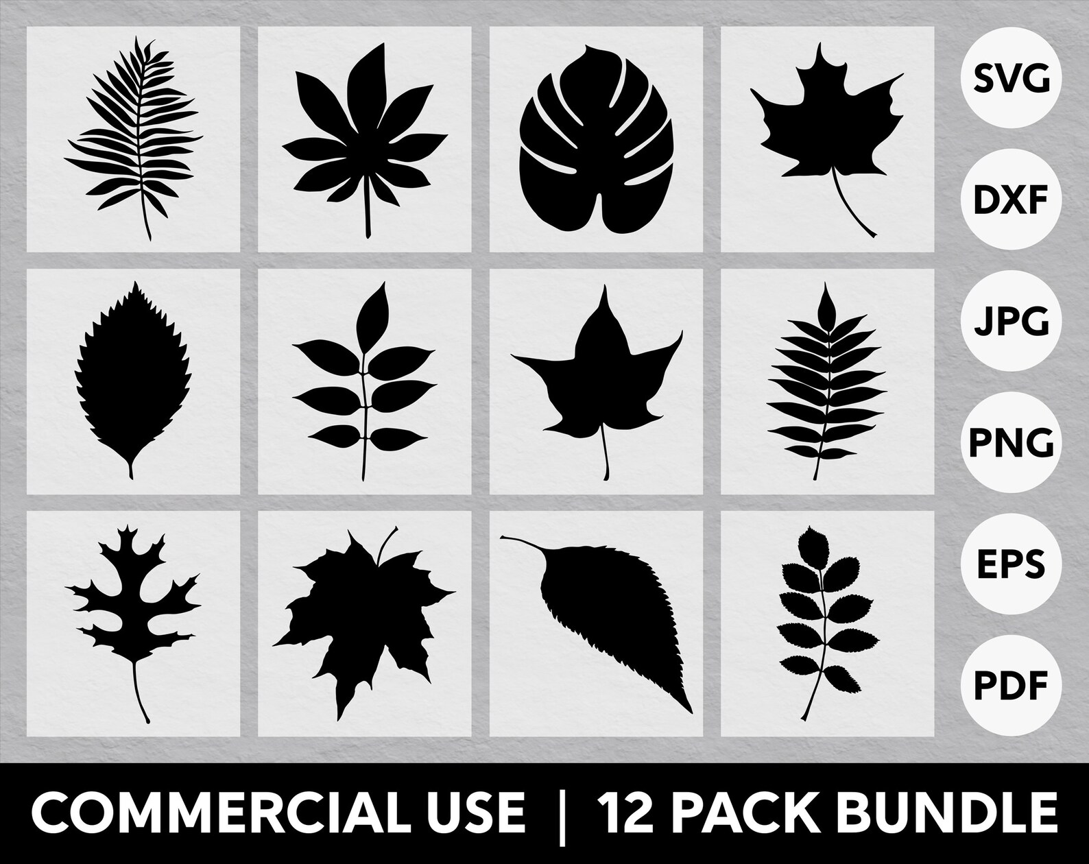 Leaf SVG Bundle Leaves Cut File for Cricut Leaf Silhouette - Etsy
