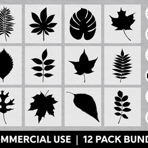 Leaf SVG Bundle, Leaves Cut File for Cricut, Leaf Silhouette, PNG, DXF ...