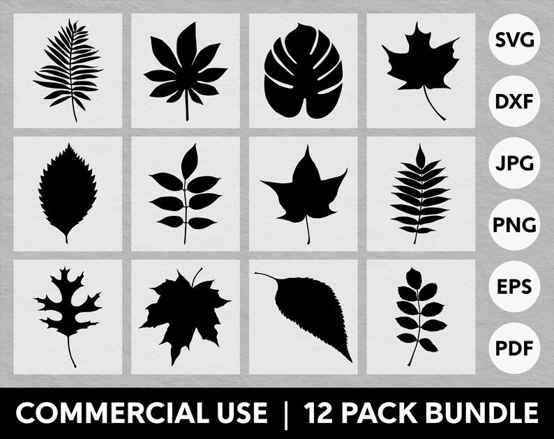 Leaf SVG Bundle, Leaves Cut File for Cricut, Leaf Silhouette, PNG, DXF ...