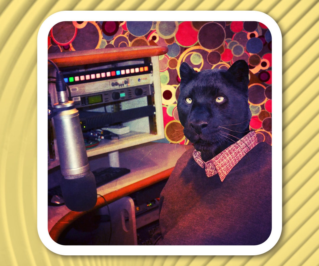 Late Night DJ | Vinyl Sticker, Digital Collage, Original Artwork, Funny ...