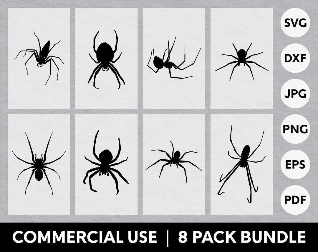 Spider SVG Bundle, Spider Cut File for Cricut, Spider Silhouette, PNG ...