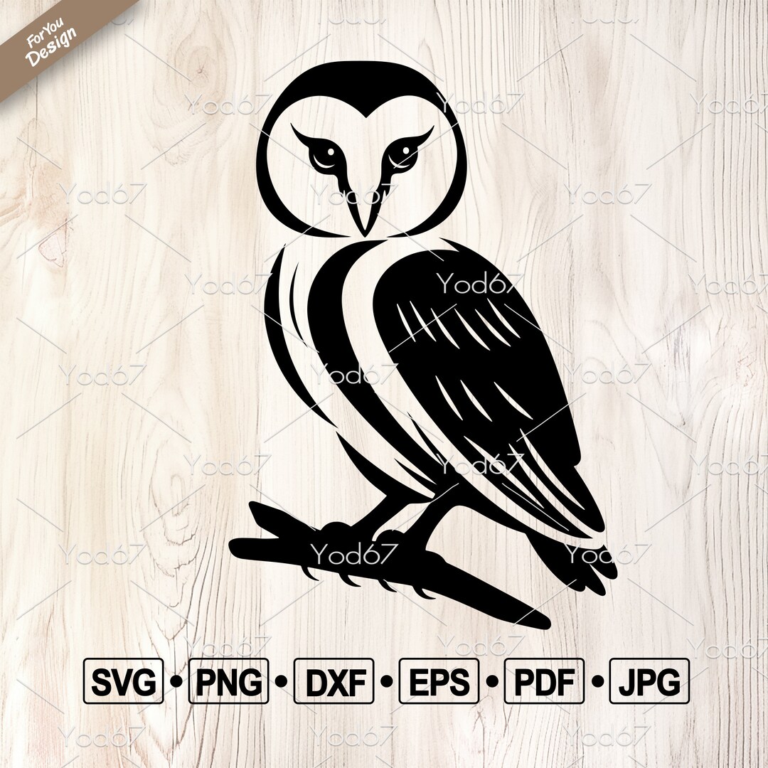 Barn Owl SVG, Barn Owl Png, Owl Cricut, Bird Svg, Barn Owl DXF, Owl ...