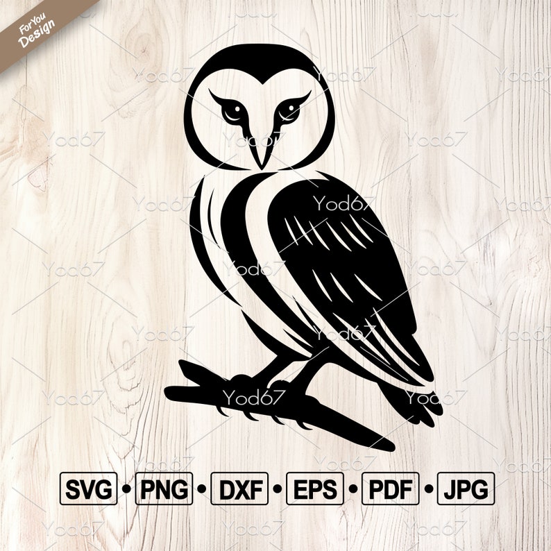 Barn Owl SVG, Barn Owl Png, Owl Cricut, Bird Svg, Barn Owl DXF, Owl ...