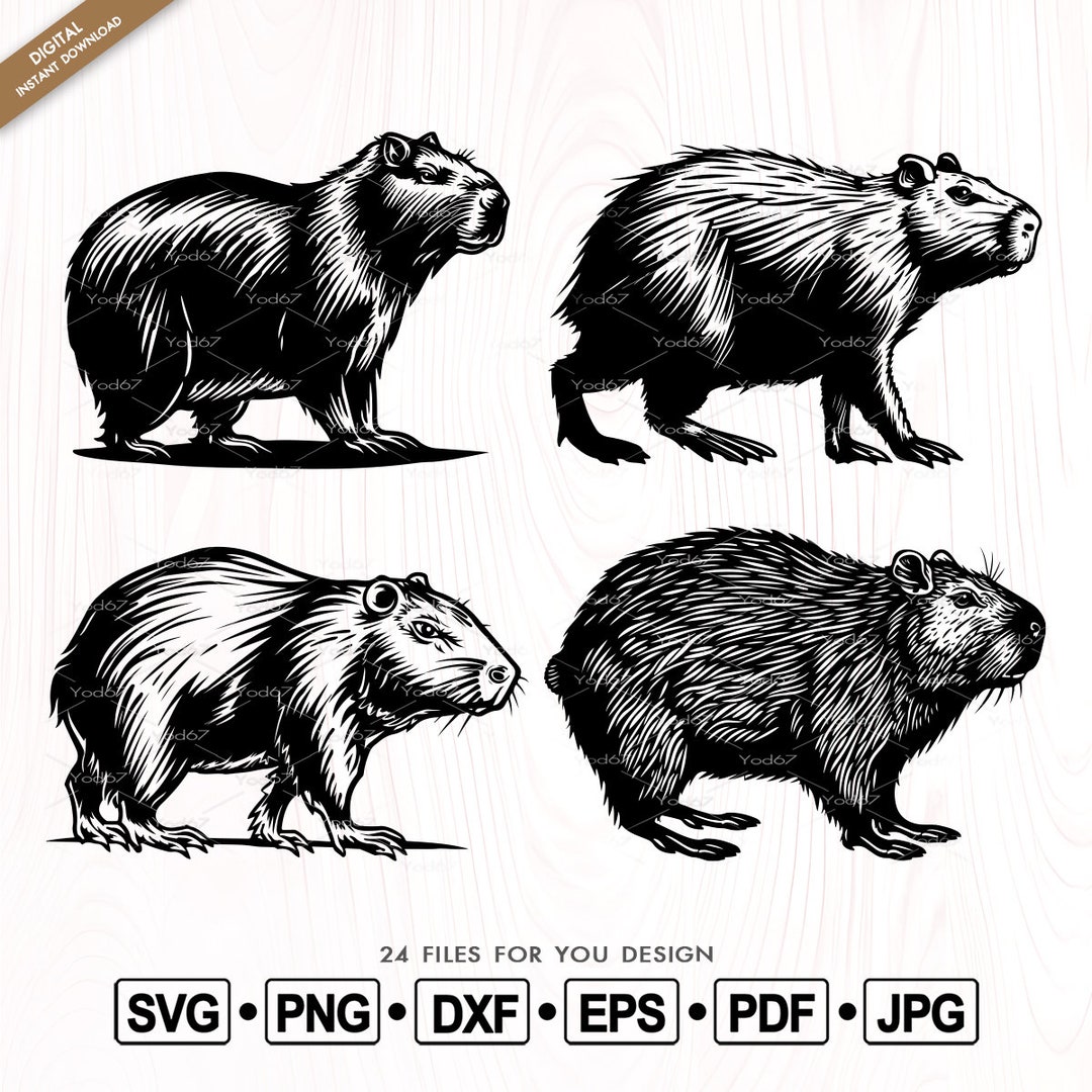 Capybara SVG, Capybara Vector Clipart Design Png Eps Dxf, Svg Files for ...
